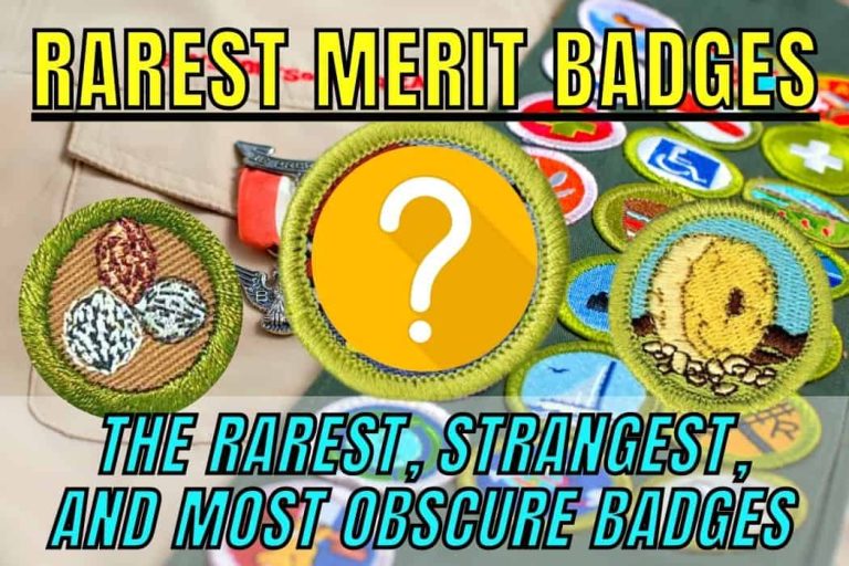 The 7 Rarest, Strangest & Most Obscure Merit Badges In Scouts BSA