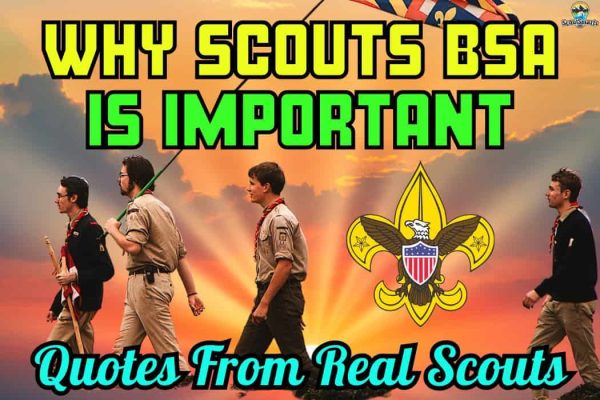 The Importance of Scouting (And Its Relevance Today)
