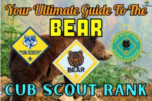 Earn The Bear Rank: A Cub Scout’s Ultimate Guide In 2025