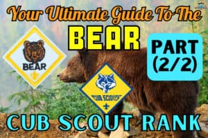 Bear Rank Adventure Answers: A Cub Scout's Best Guide - ScoutSmarts