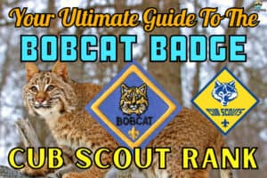 Earn The Bobcat Badge: A Cub Scout’s Ultimate Guide In 2025 - ScoutSmarts