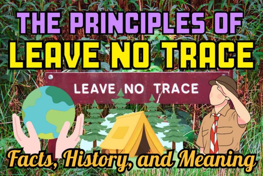 Scouting’s Leave No Trace Principles: Facts, History, and Meaning