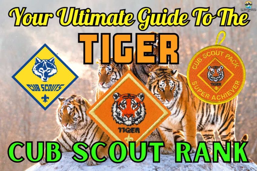 Earn The Tiger Rank: A Cub Scout’s Ultimate Guide In 2025