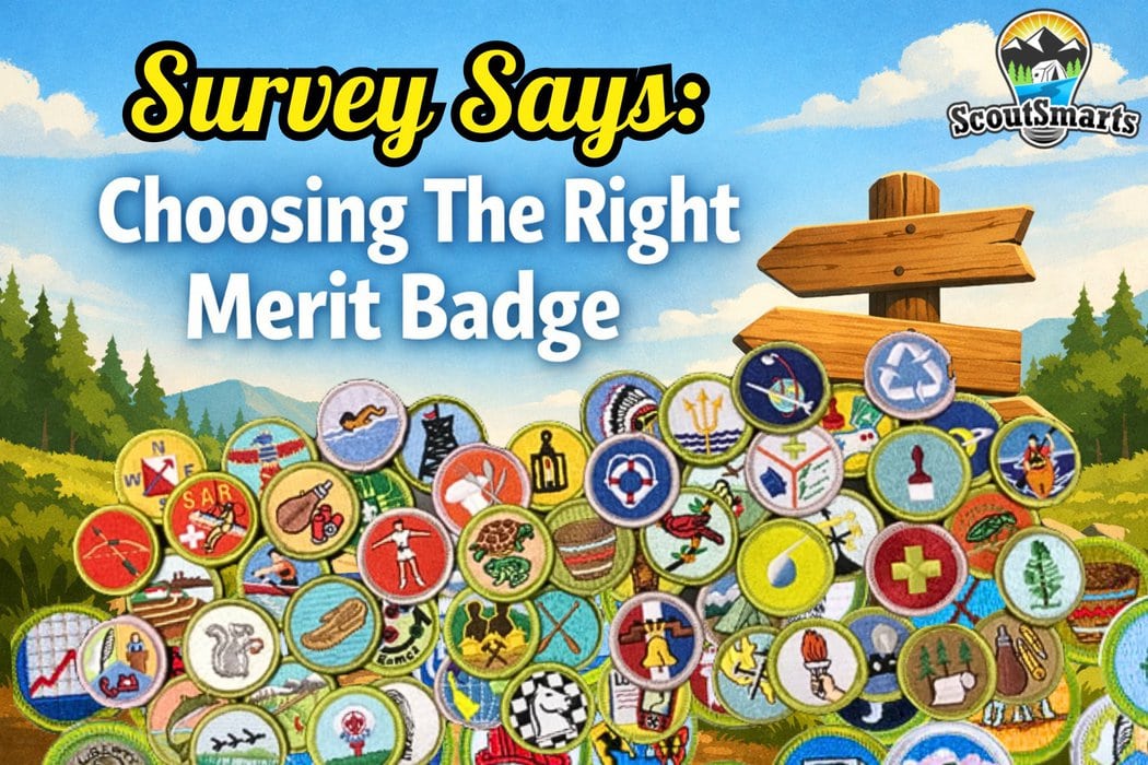 Which Merit Badges Are Worth It? What Scouts Say - ScoutSmarts